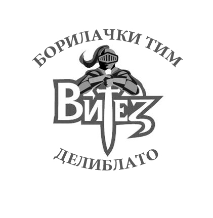 vitez logo – Akademija Vitez